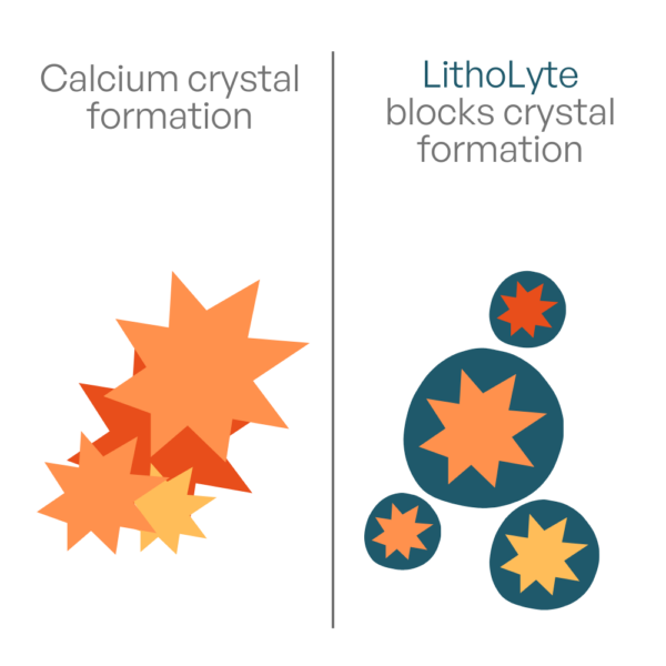 LithoLyte 15 mEq | LithoLyte.com